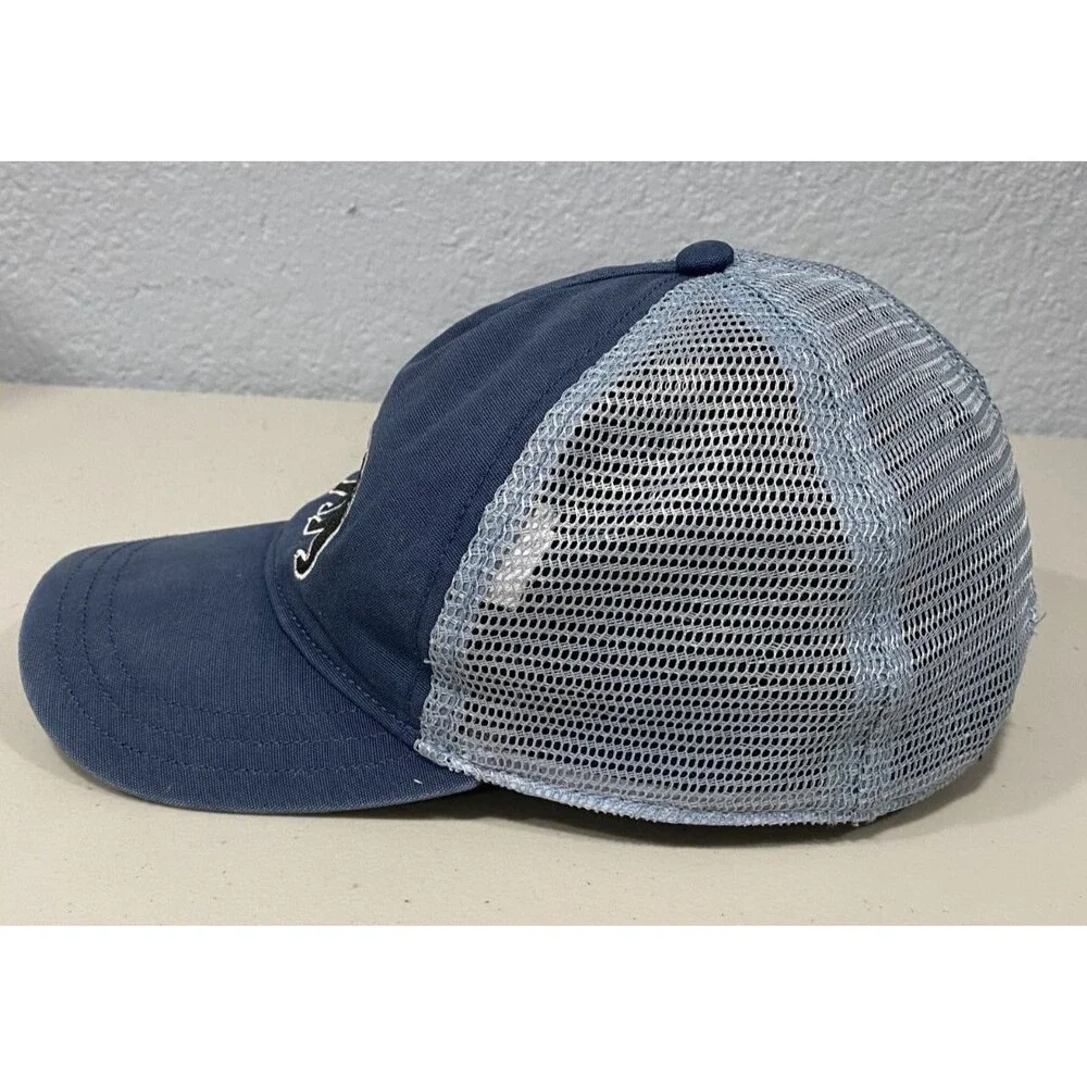 Patagonia | Accessories | Patagonia Hat Cap Blue Snapback Adult Unisex ...